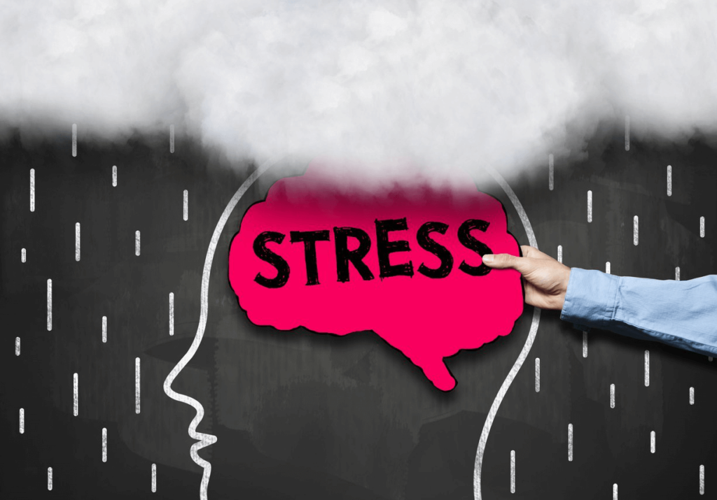 Cut Your Stress And Micro Management In Half